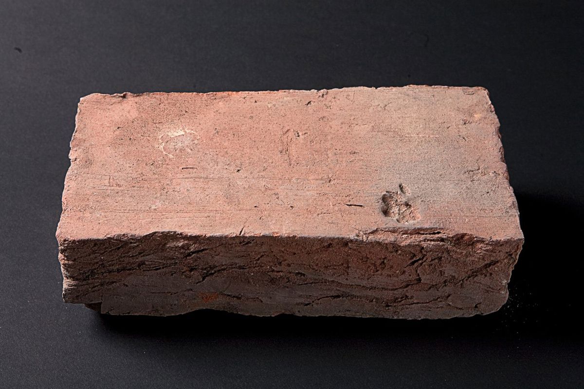 Tegelsten med kattspår - Stockholmskällan